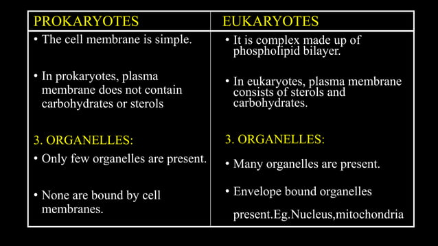 Prokaryotes and eukaryotes powerpoint | PPT | Biological Sciences | Science