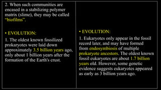 Prokaryotes and eukaryotes powerpoint | PPT