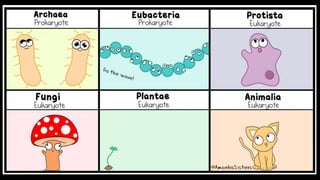 Prokaryotes and eukaryotes powerpoint | PPT