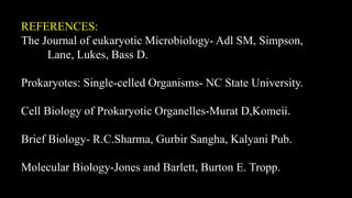 Prokaryotes and eukaryotes powerpoint | PPT