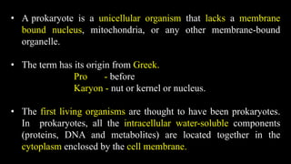 Prokaryotes and eukaryotes powerpoint | PPT