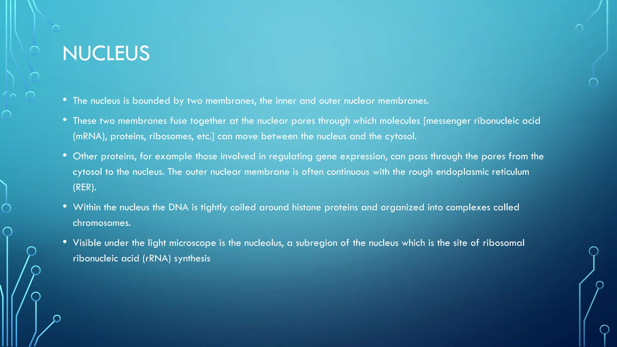 PROKARYOTES AND EUKARYOTES_Presentation001.pptx