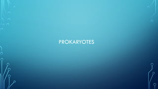 PROKARYOTES AND EUKARYOTES_Presentation001.pptx