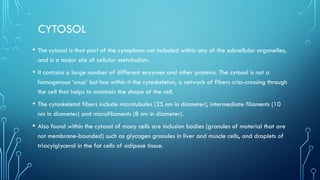 PROKARYOTES AND EUKARYOTES_Presentation001.pptx