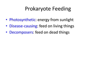 prokaryoteseukaryotes-.pptx