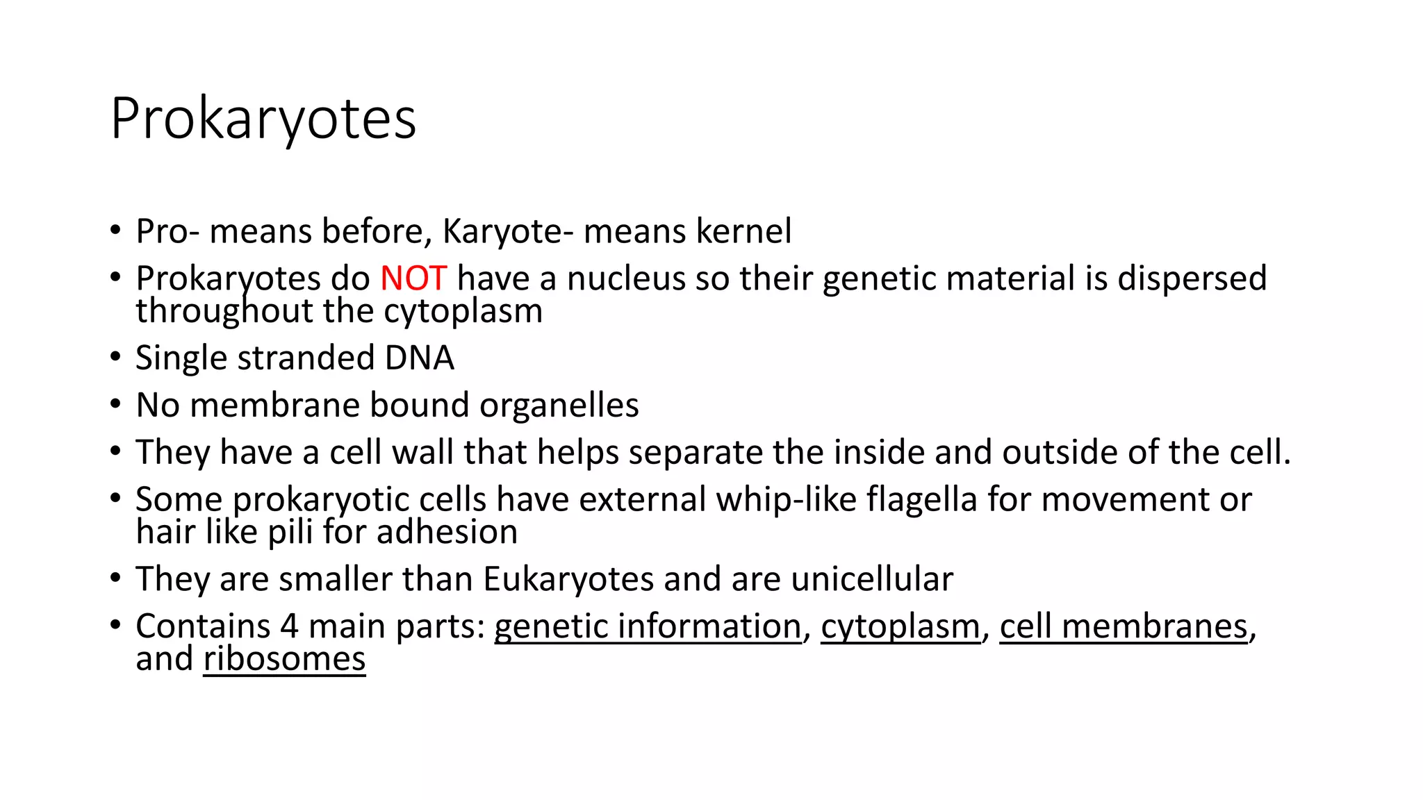 Bacteria, Animal and Plant Cells | PPTX