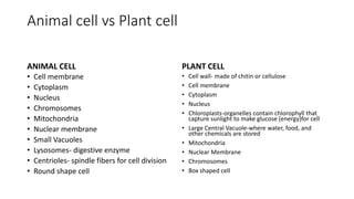 Bacteria, Animal and Plant Cells | PPTX