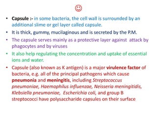 Prokaryotic cell | PPT