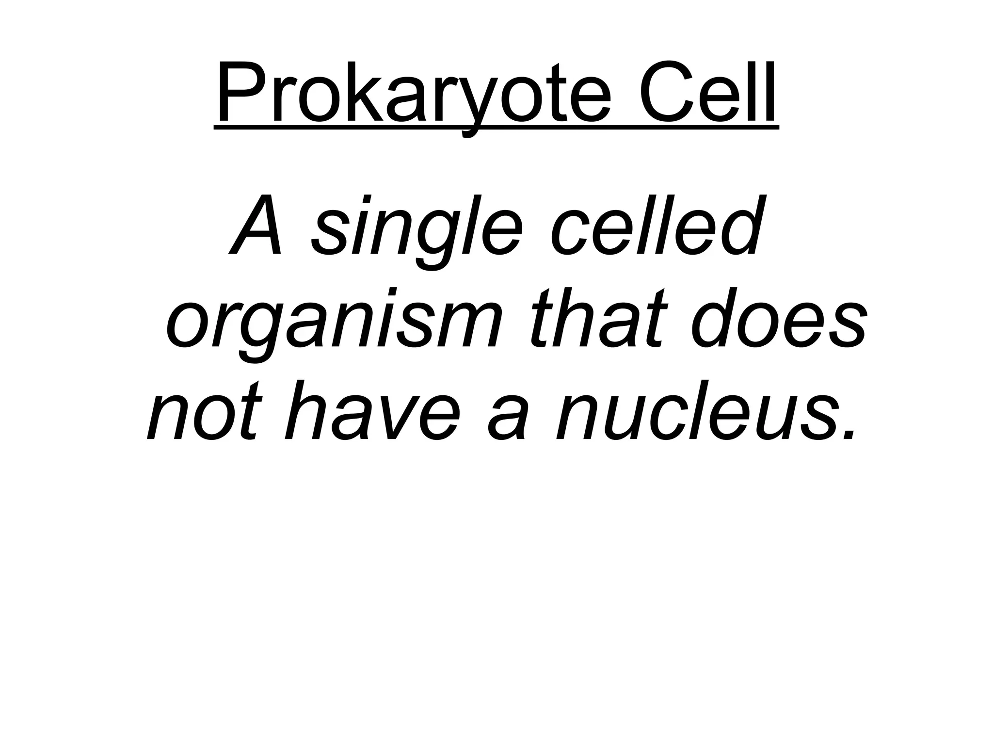 Prokaryotes vs eukaryotes | PPT Prokaryotes vs eukaryotes | PPT
