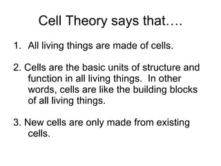 Prokaryotes vs eukaryotes | PPT