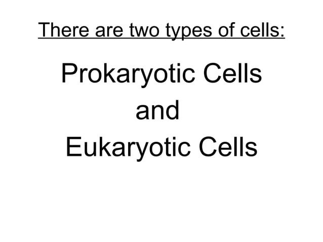 Prokaryotes vs eukaryotes | PPT | Biological Sciences | Science