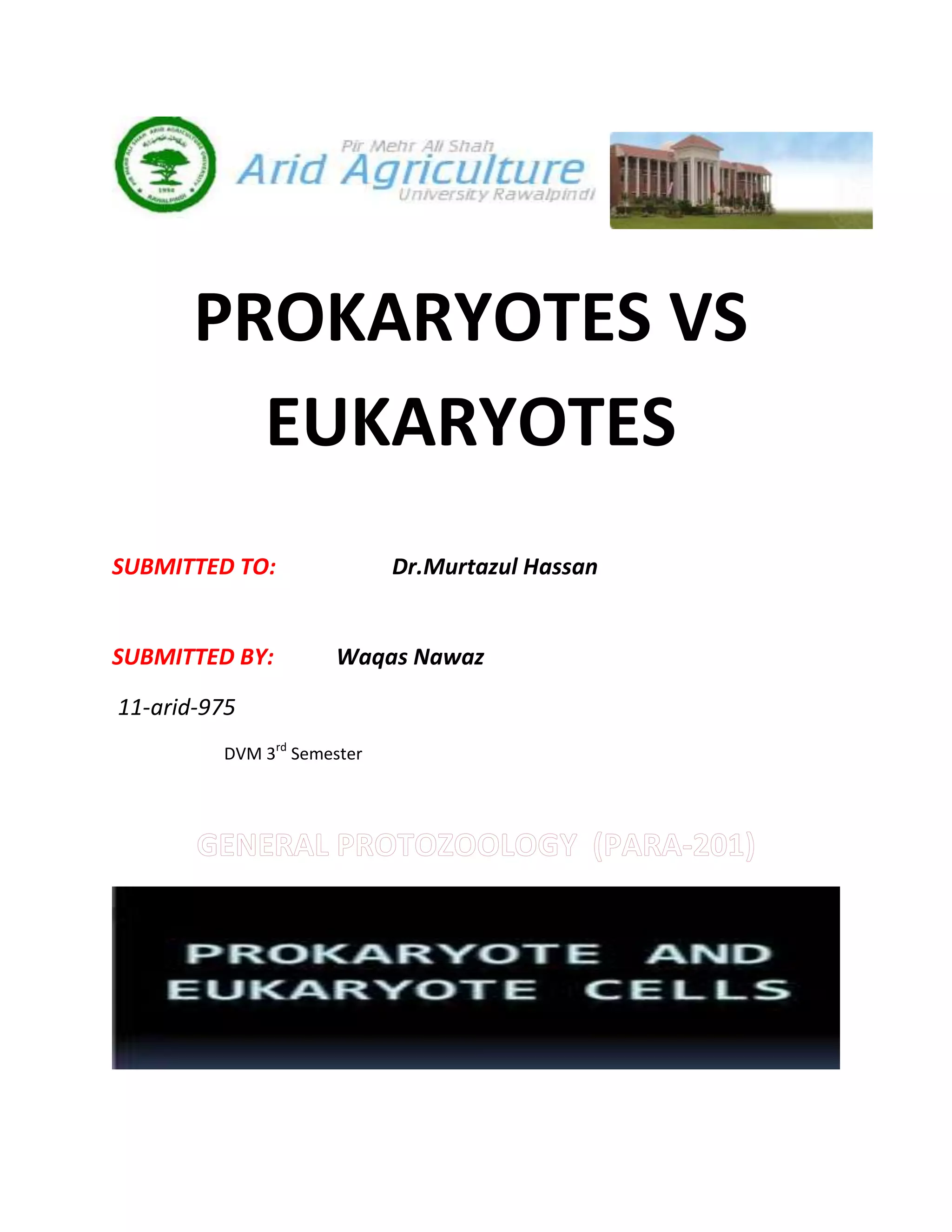Prokaryotes vs eukaryotes | DOCX