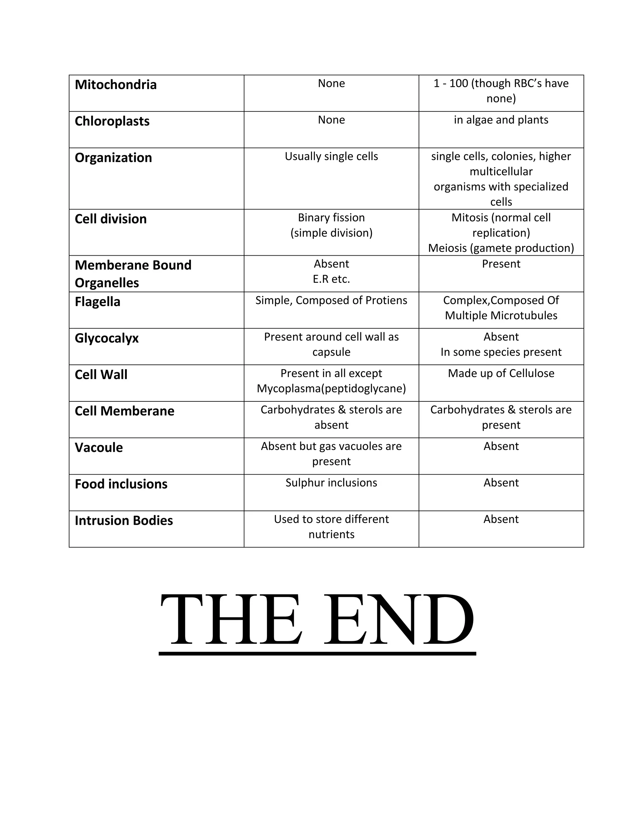 Prokaryotes vs eukaryotes | DOCX