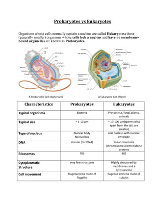 Prokaryotes vs eukaryotes | DOCX