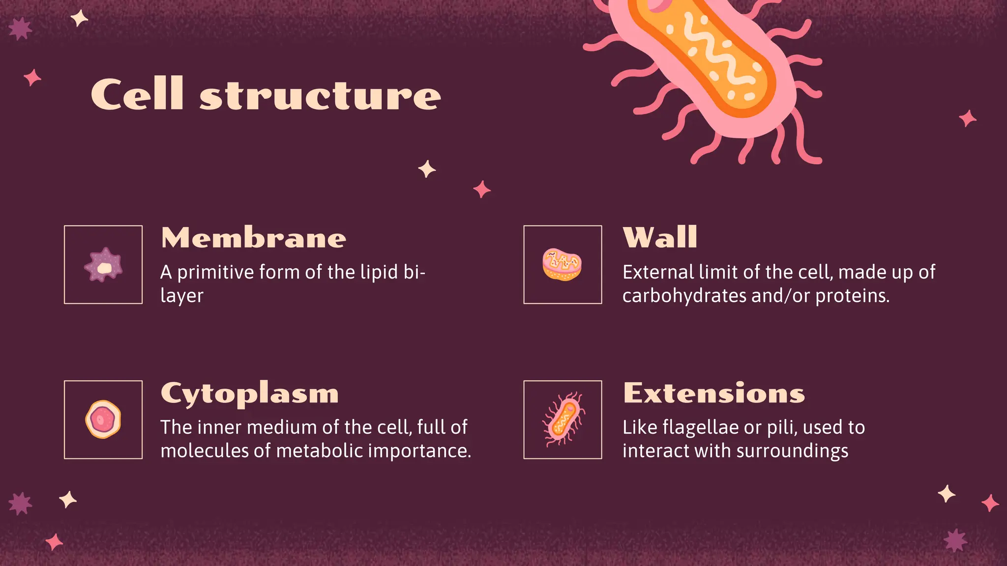 Prokaryotic vs Eukaryotic organisms: characterization and comparison.pptx
