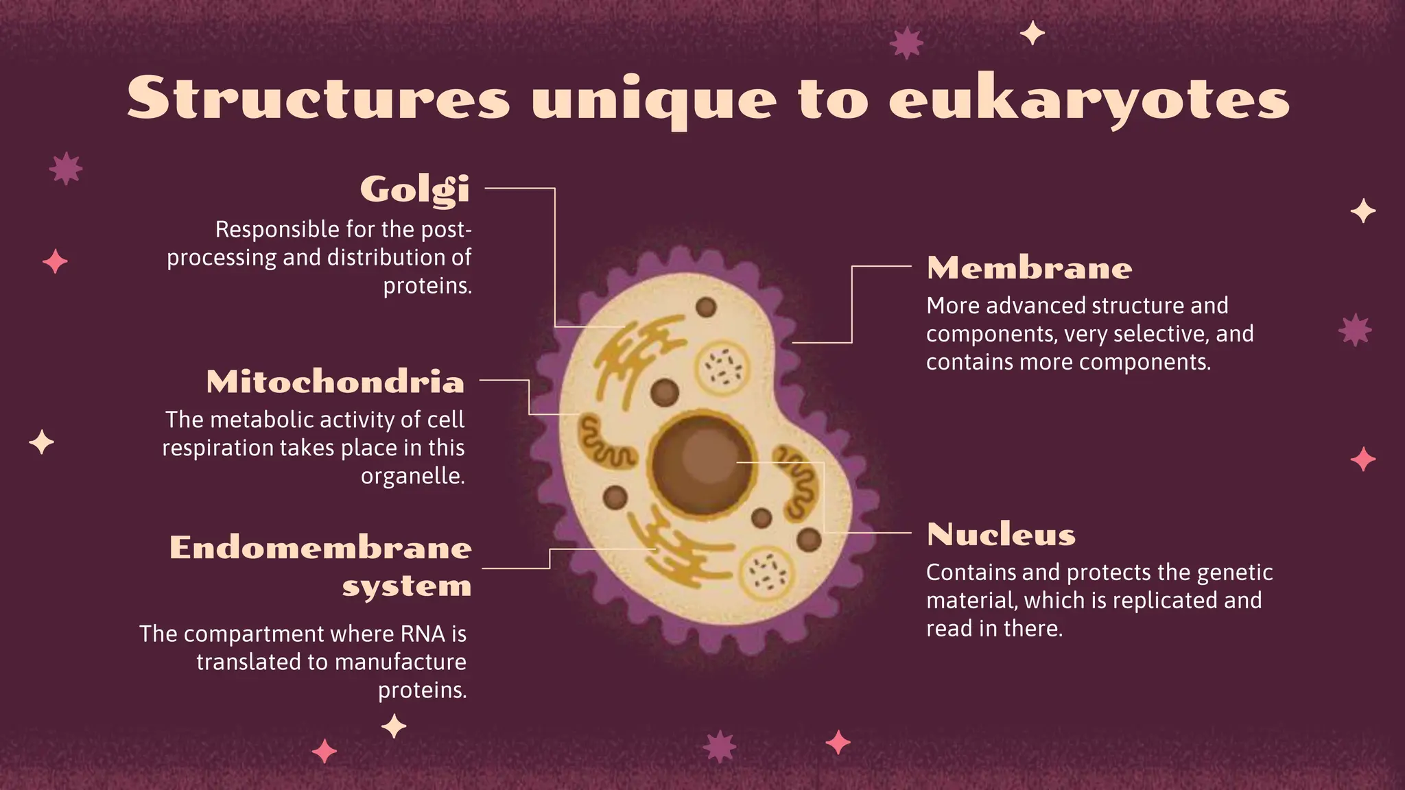 Prokaryotic vs Eukaryotic organisms: characterization and comparison.pptx