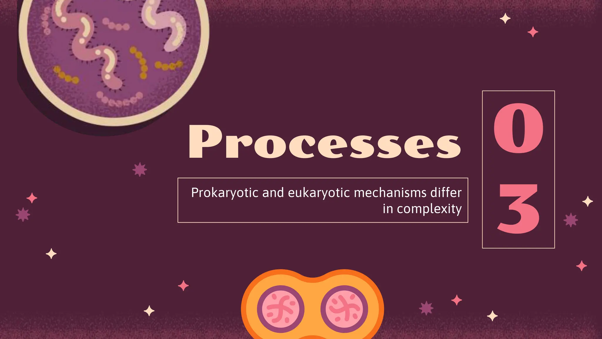 Prokaryotic vs Eukaryotic organisms: characterization and comparison.pptx
