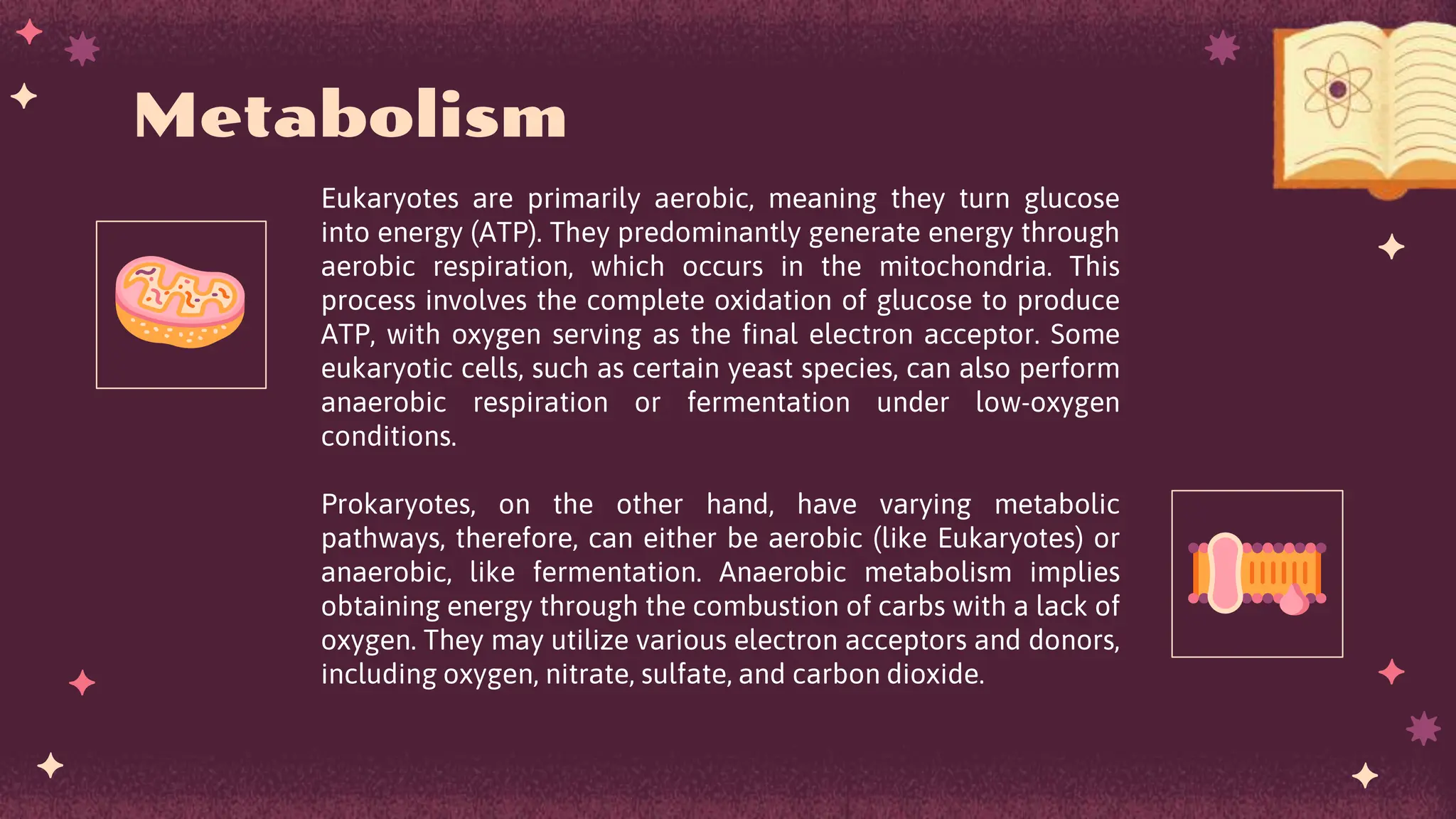 Prokaryotic vs Eukaryotic organisms: characterization and comparison.pptx