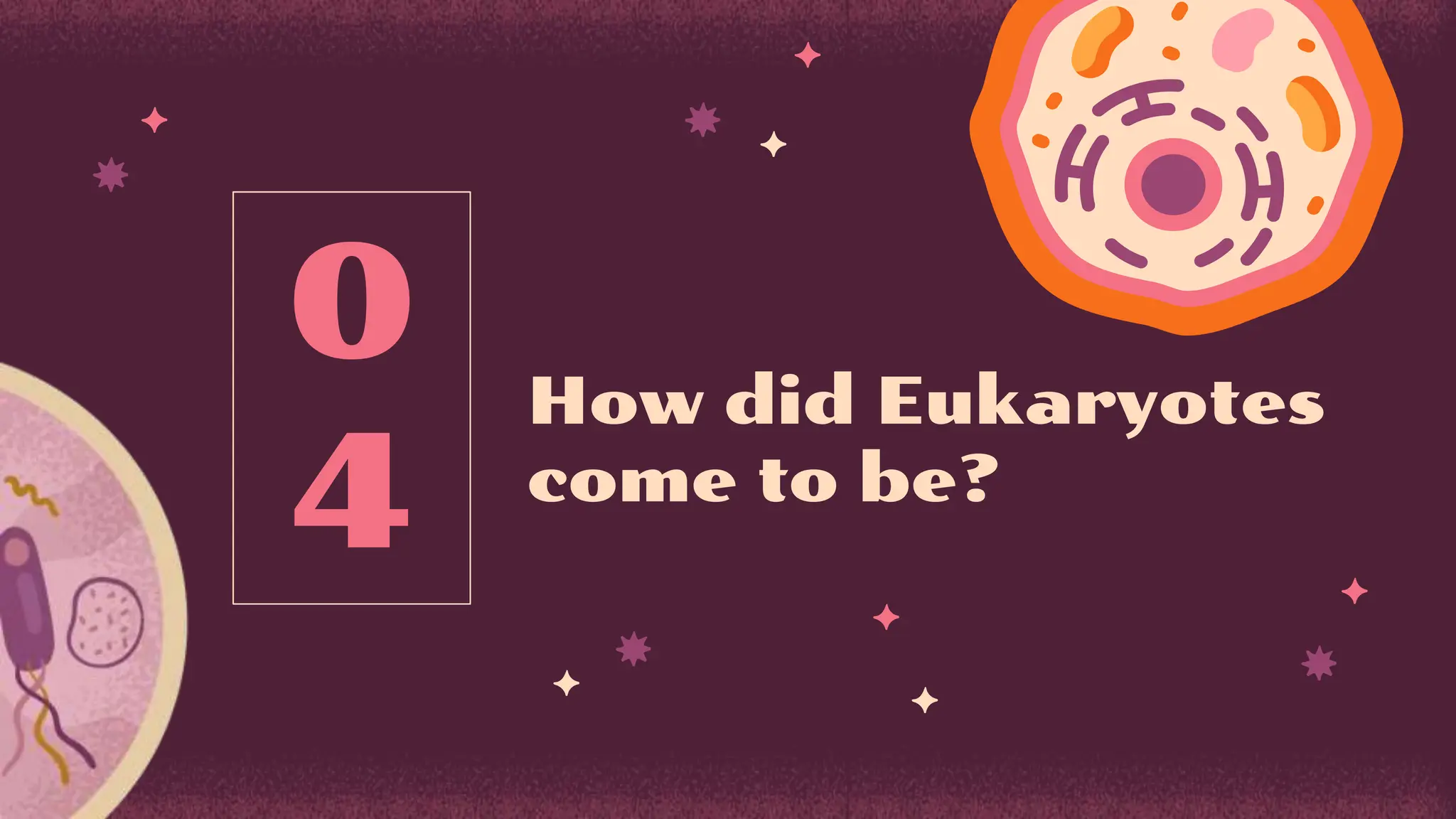 Prokaryotic Vs Eukaryotic Organisms Characterization And Comparisonpptx 