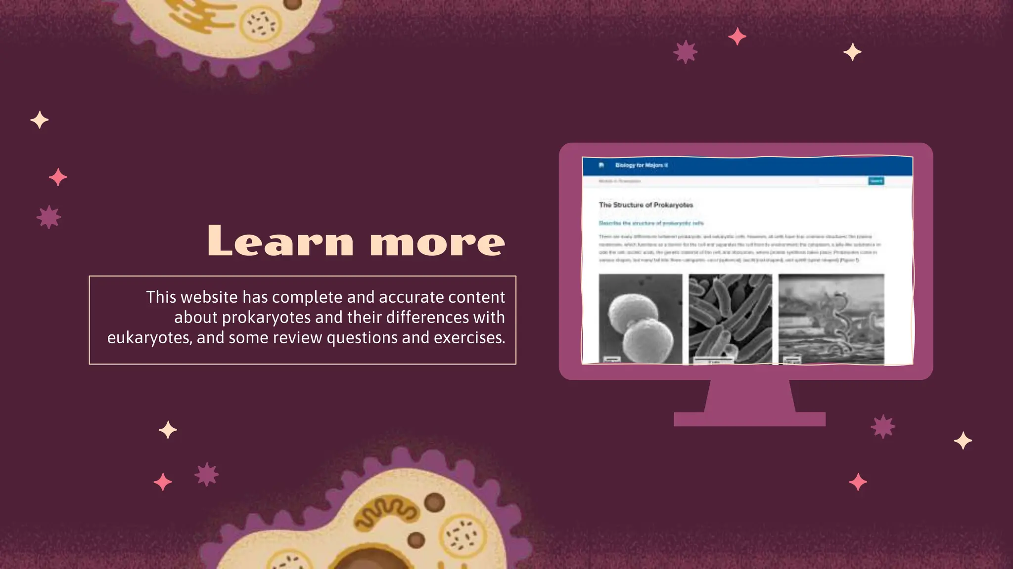Prokaryotic vs Eukaryotic organisms: characterization and comparison.pptx