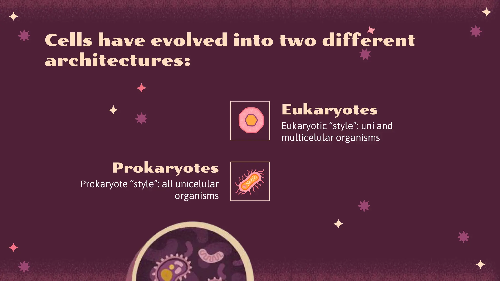 Prokaryotic vs Eukaryotic organisms: characterization and comparison.pptx
