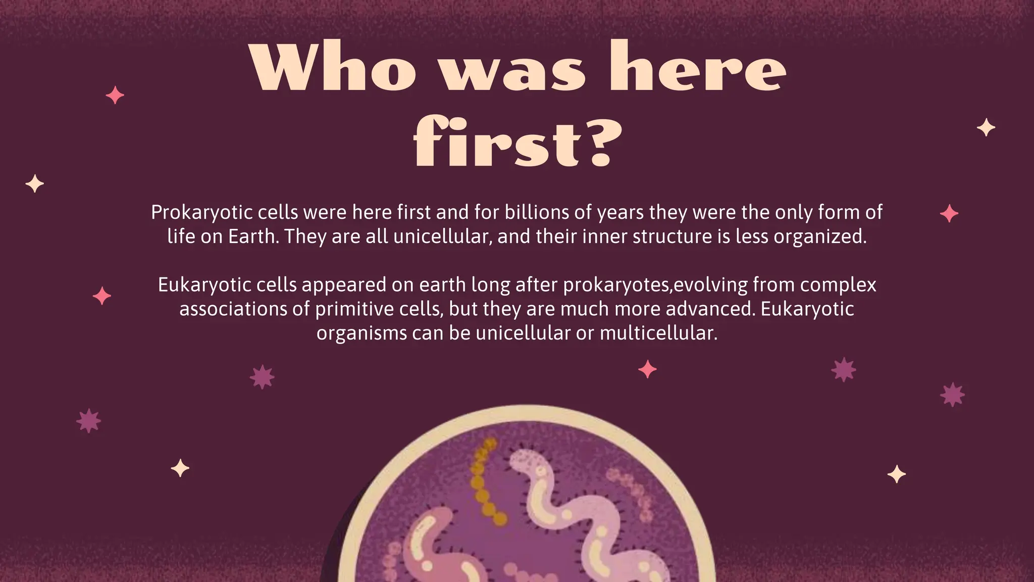 Prokaryotic vs Eukaryotic organisms: characterization and comparison.pptx