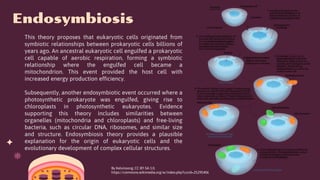 Prokaryotic vs Eukaryotic organisms: characterization and comparison.pptx