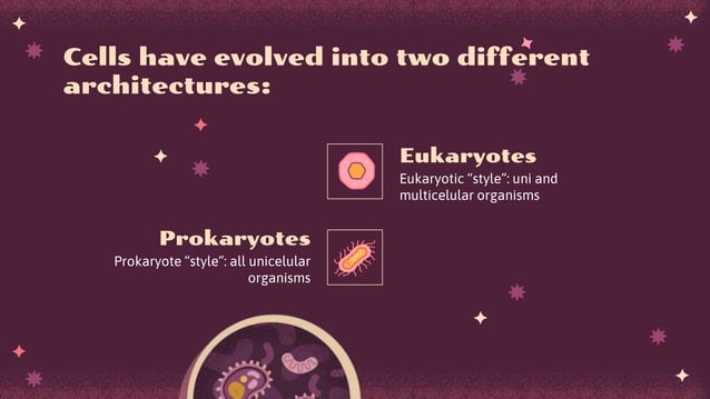 Prokaryotic vs Eukaryotic organisms: characterization and comparison.pptx