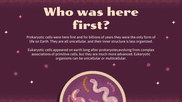 Prokaryotic Vs Eukaryotic Organisms Characterization And Comparisonpptx 