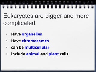 Prokaryotes v Eukaryotes PowerPoint.pptx