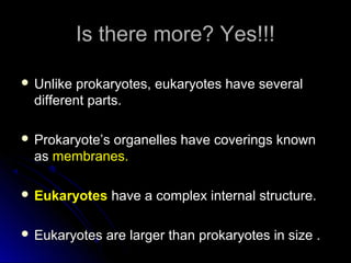 Prokaryote vs eukaryote | PPT | Biological Sciences | Science