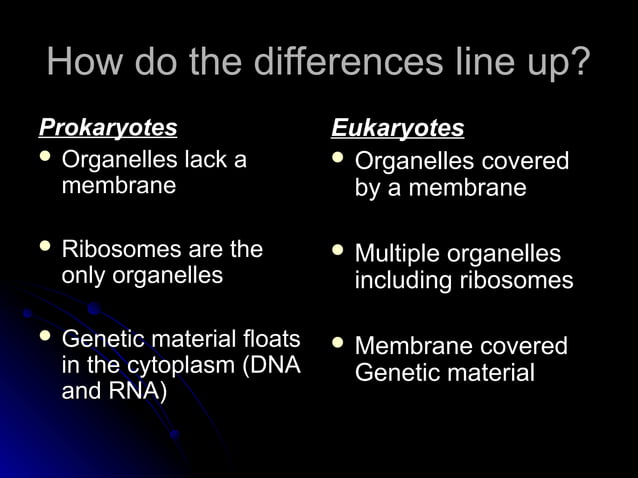 PROKARYOTIC VS. EUKARYOTIC CELL SIMILARITIES AND DIFFERENCES | PPT