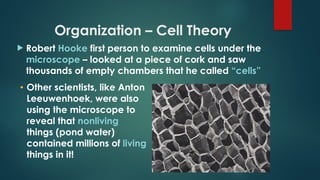 prokaryote_vs_eukaryote_and_adaptations.pptx