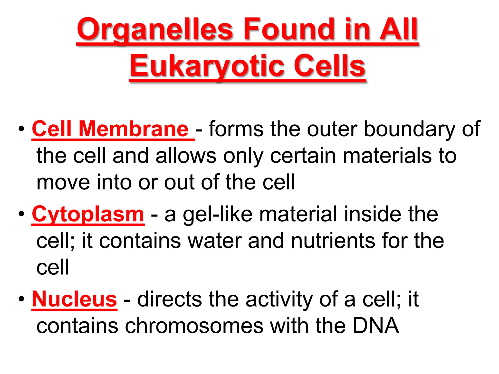 Prokaryote_vs_Eukaryote_Cells.pdf | Biological Sciences | Science