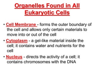 Prokaryote_vs_Eukaryote_Cells.pdf