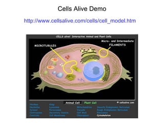 Prokaryote_vs_Eukaryote_Cells.pdf | Biological Sciences | Science