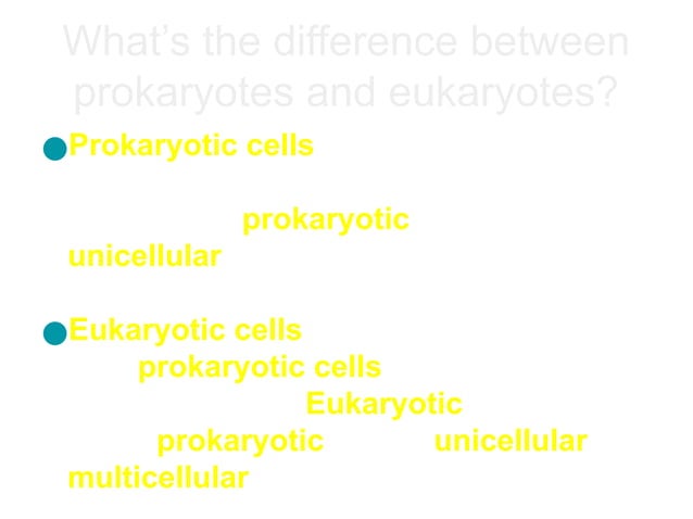 prokaryote vs Eukaryote prokaryote vs Eukaryote | PPTX