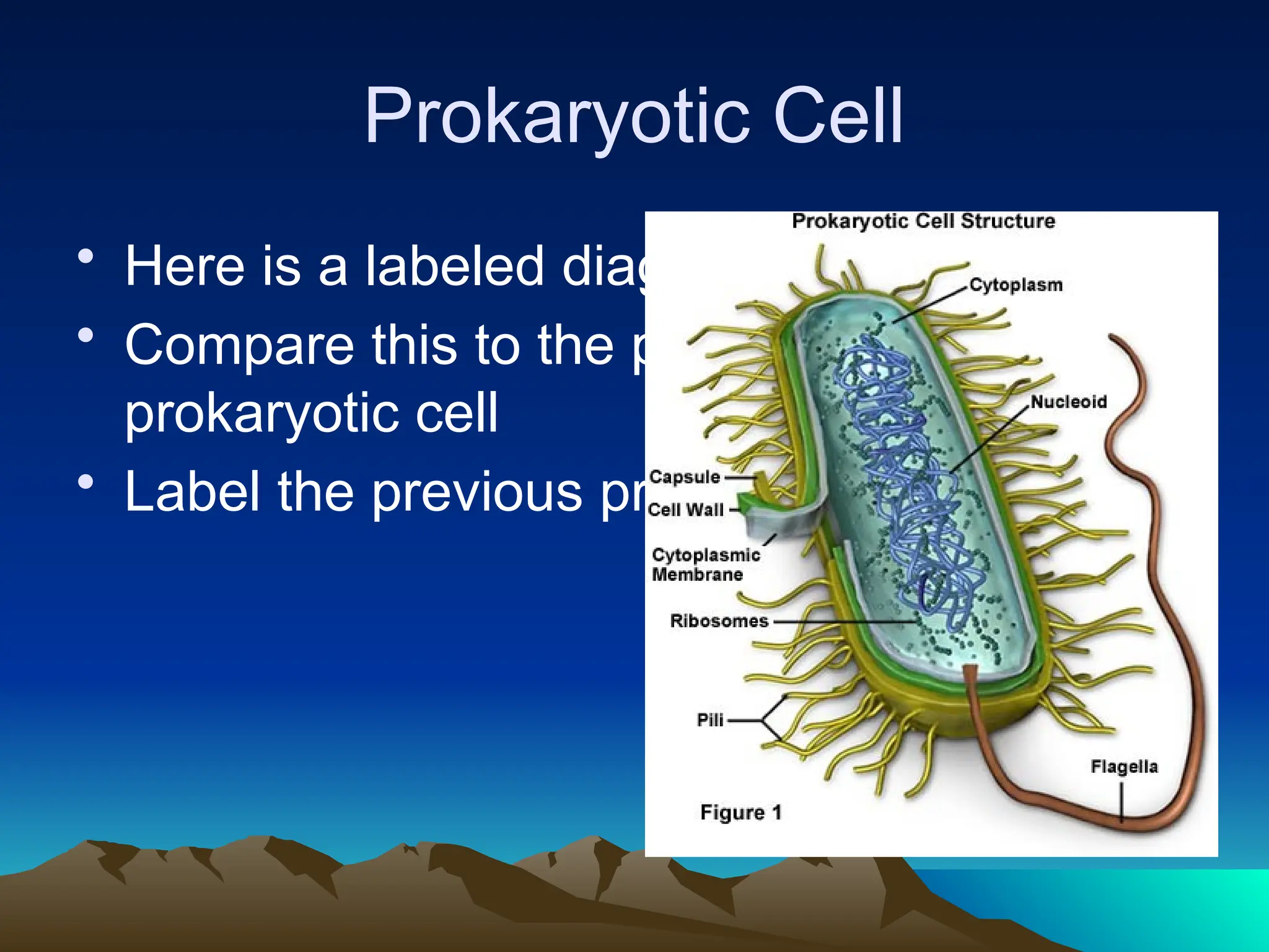 Biology PROKARYOTE_VS_EUKARYOTE PPT.pptx