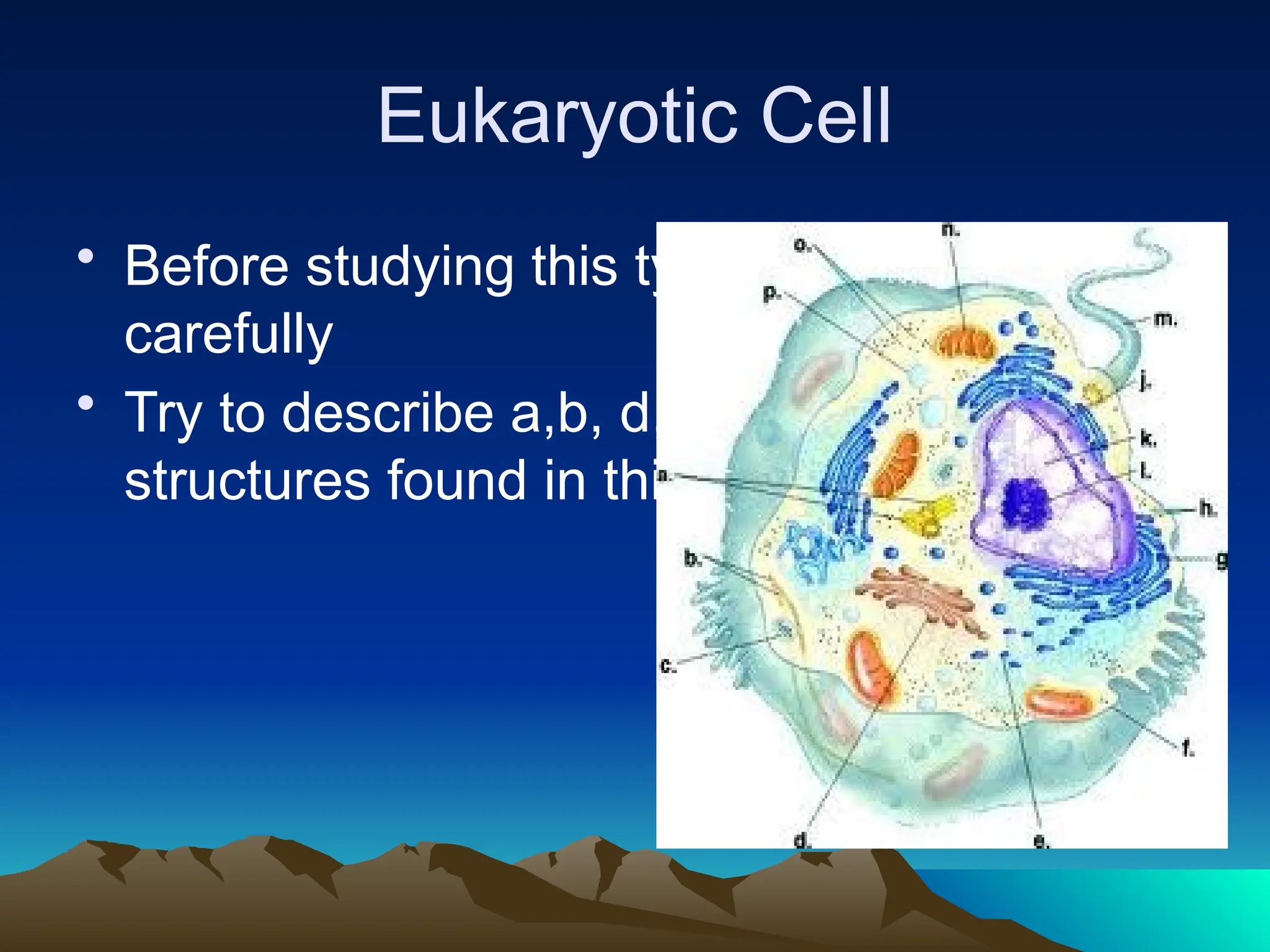 Biology PROKARYOTE_VS_EUKARYOTE PPT.pptx