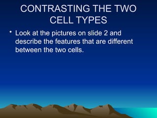 Biology PROKARYOTE_VS_EUKARYOTE PPT.pptx