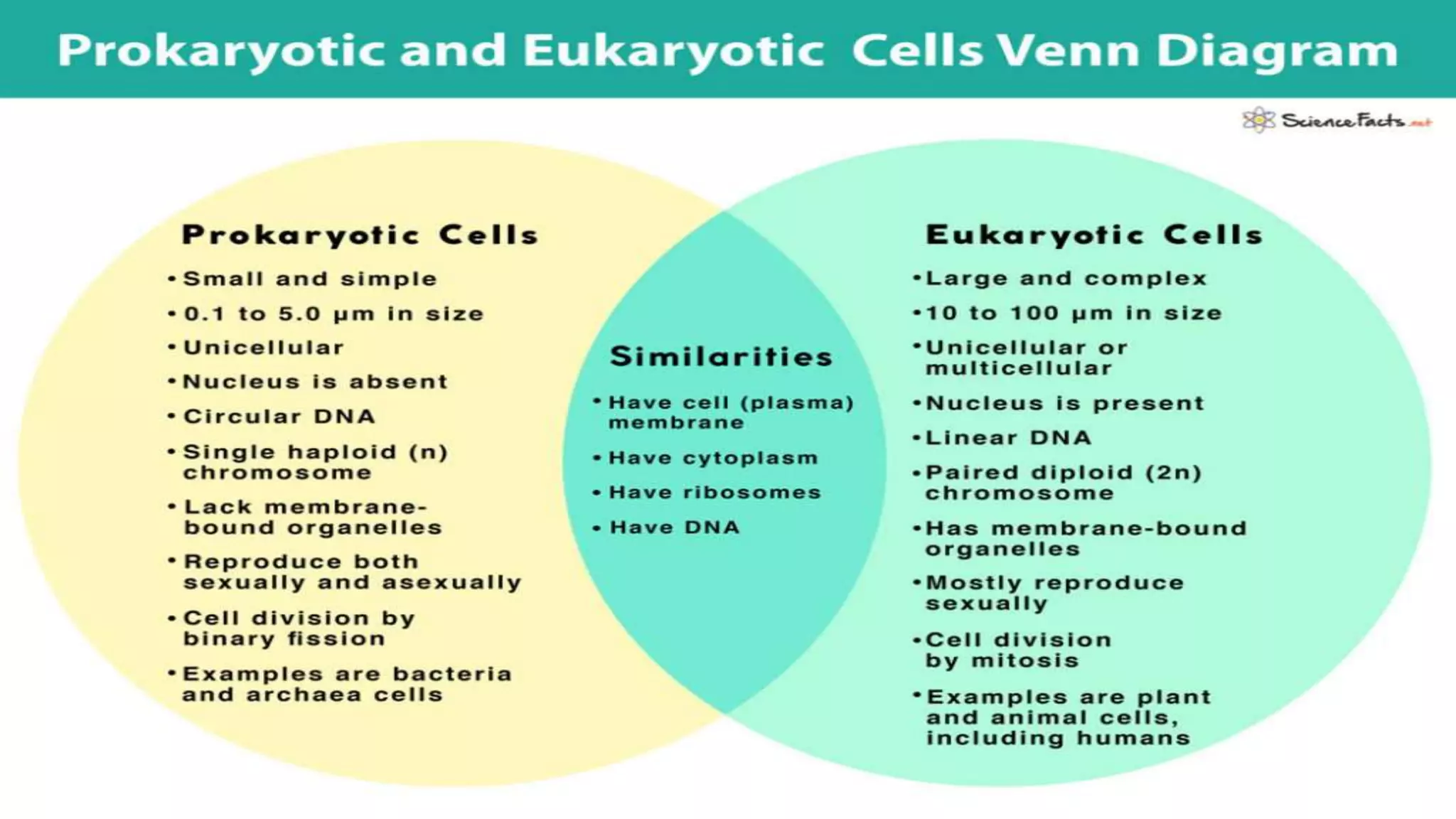 Prokaryotic-and-Eukaryotic-Cells.pptx