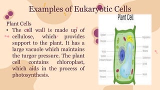 Prokaryotic-and-Eukaryotic-Cells.pptx