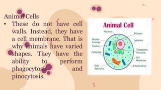 Prokaryotic-and-Eukaryotic-Cells.pptx