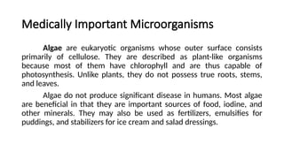 The Prokaryotic-and-Eukaryotic-Cells.pptx