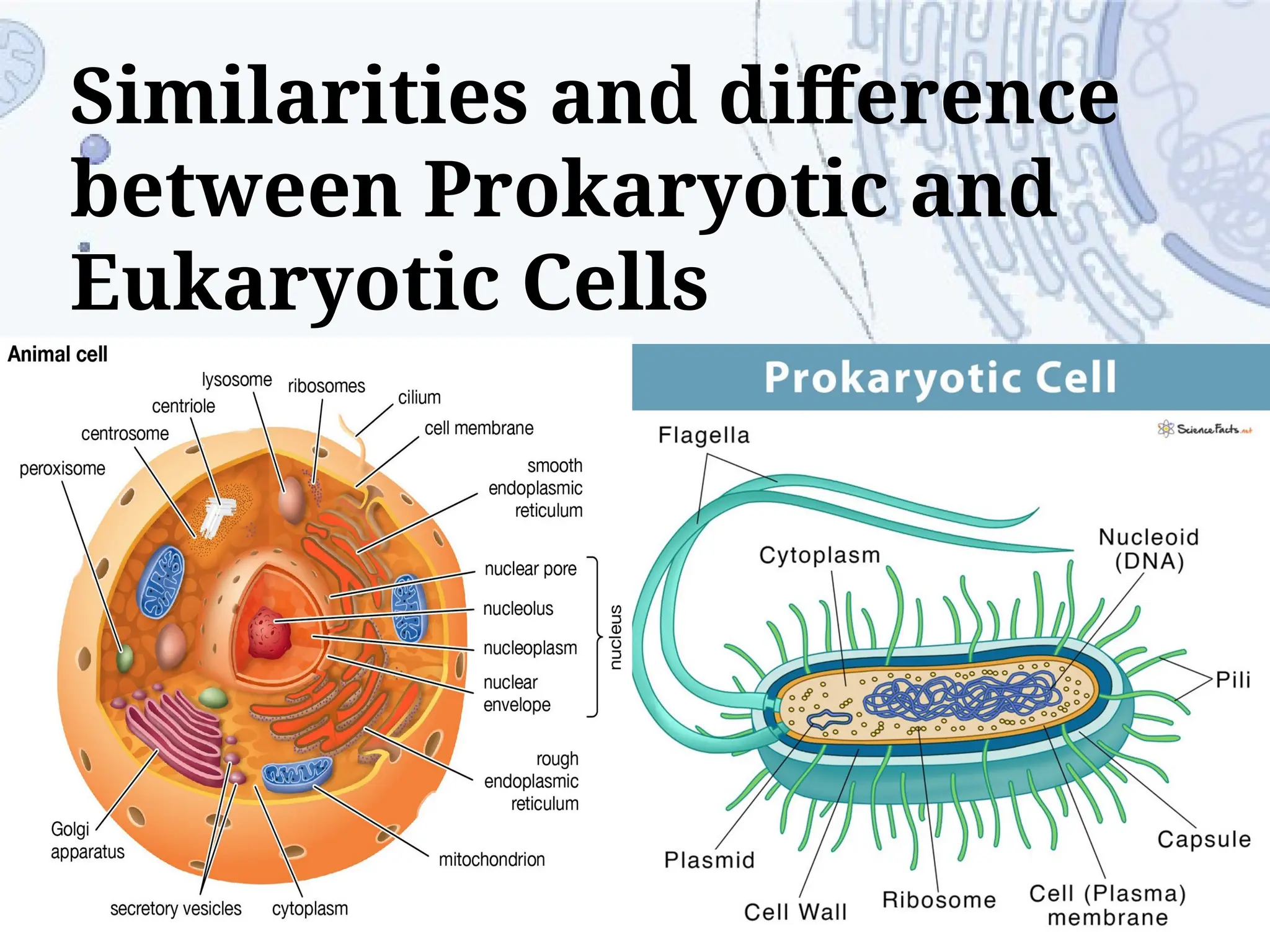 Prokaryotic-and-Eukaryotic-Cells-PPT.pptx