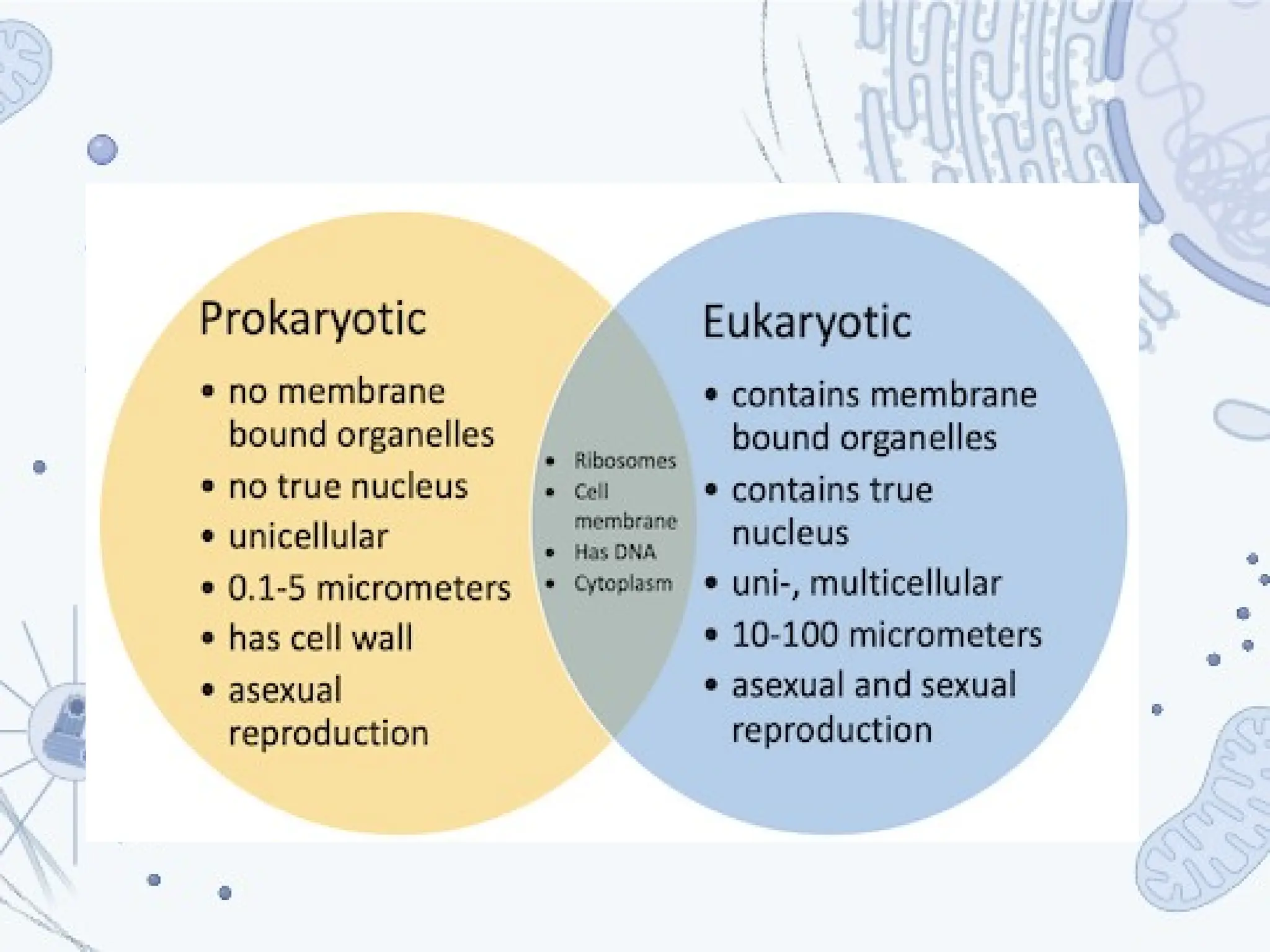 Prokaryotic-and-Eukaryotic-Cells-PPT.pptx