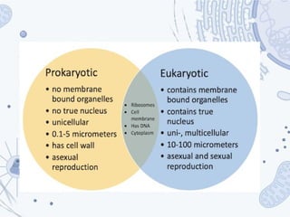 Prokaryotic-and-Eukaryotic-Cells-PPT.pptx