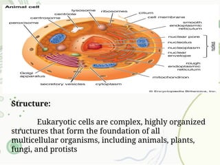 Prokaryotic-and-Eukaryotic-Cells-PPT.pptx