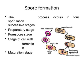 Prokaryotic-Cell-Structure.pptx presentation | PPTX