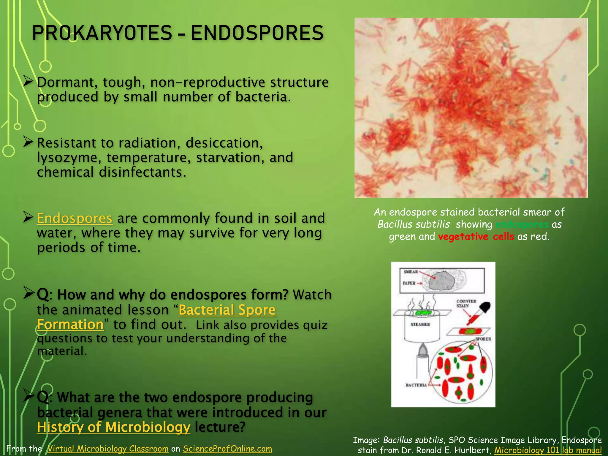Prokaryotic-Cell-Structure-Function-Biology-Lecture-PowerPoint-VMCct.pptx